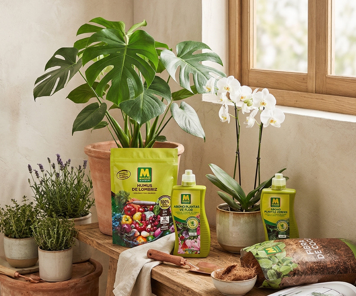 Abonado de primavera: cómo cuidar tus plantas | BLOG | APRILPLANTS